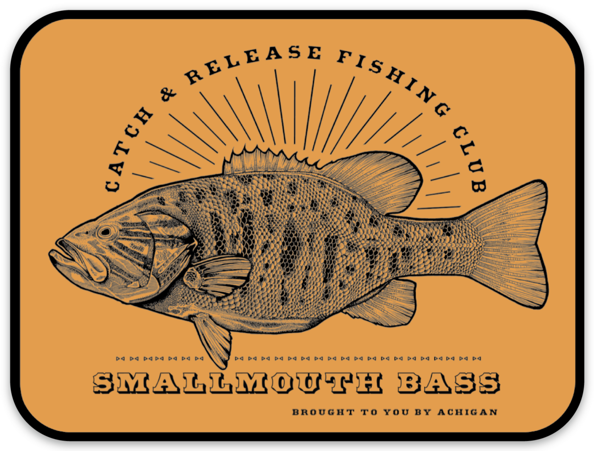 Achigan: The Official Brand of Smallmouth Bass – Achigan